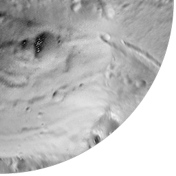 Phobos Trek